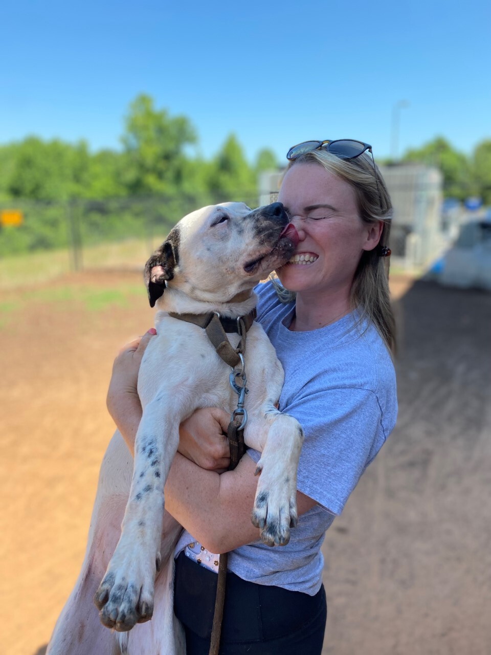 Maddie’s University | Animal Welfare Education Courses: Care Pathways ...